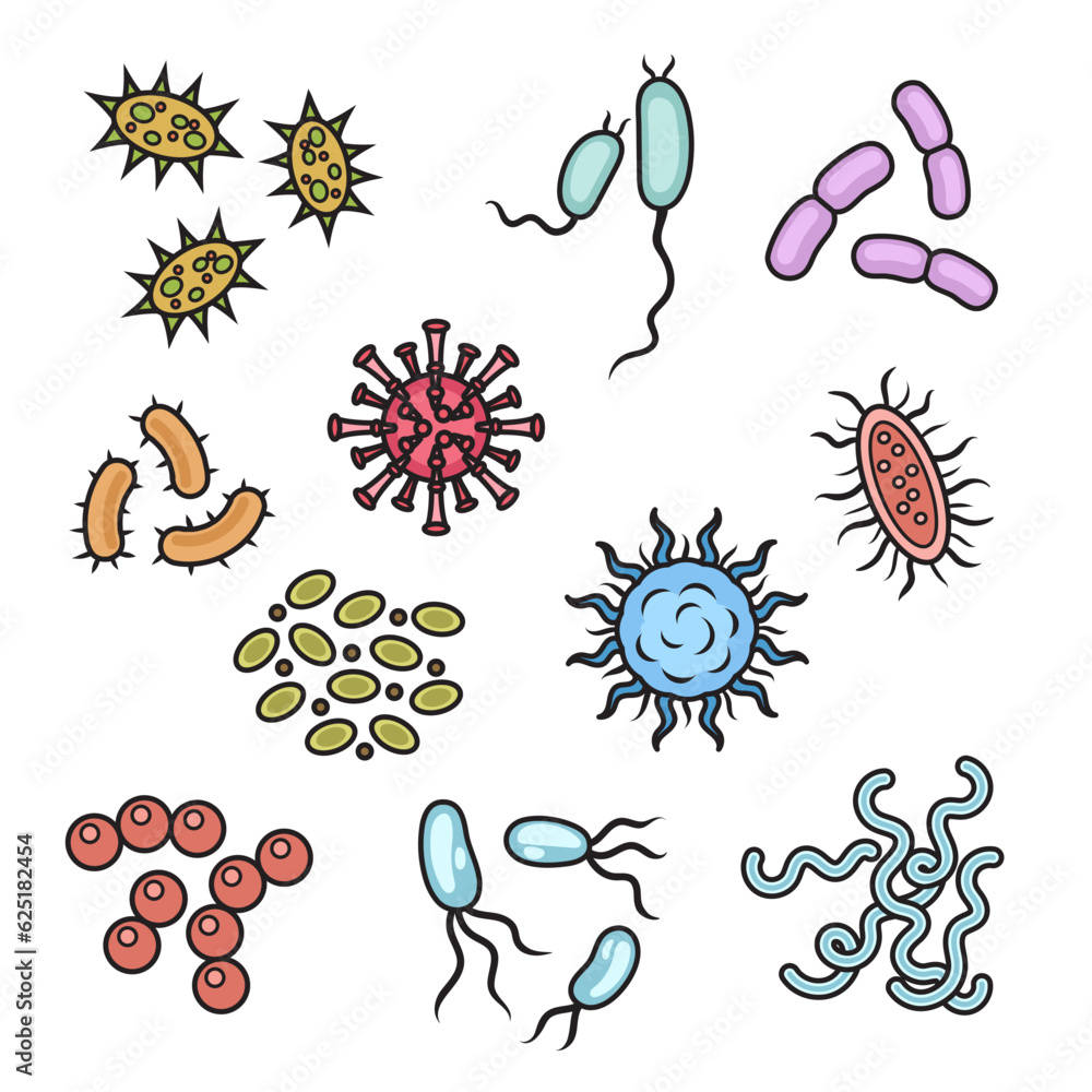 Bacteria and microorganisms diagram schematic vector illustration ...