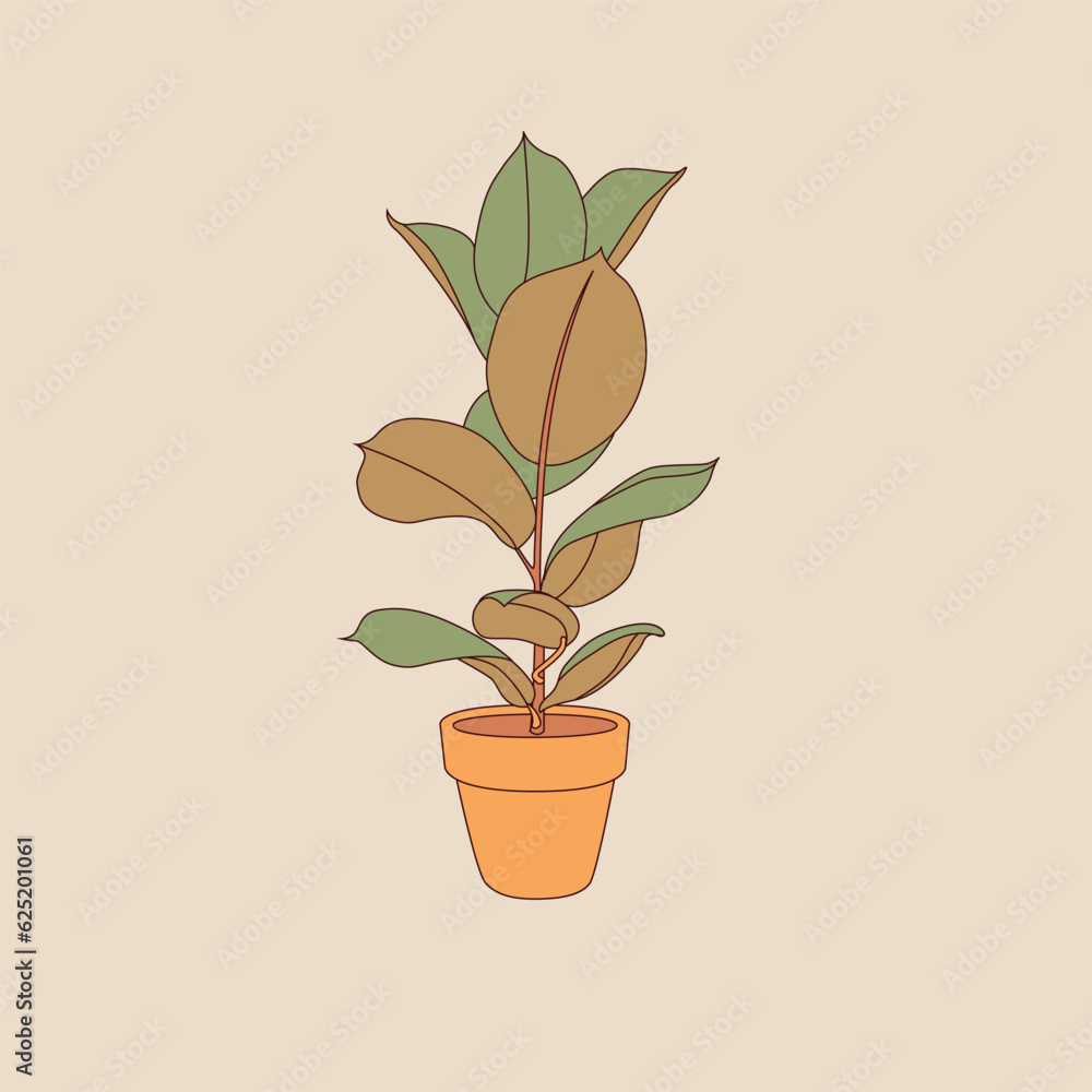 Ficus plant in pot. Hand drawn plant doodle style, cute plant, exotic ...