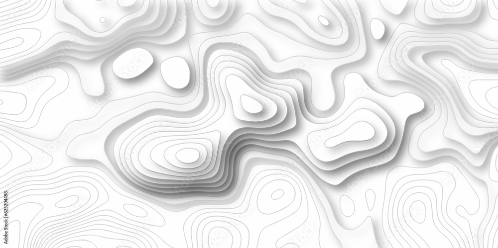 Background of the topographic map. Topographic map lines, contour ...