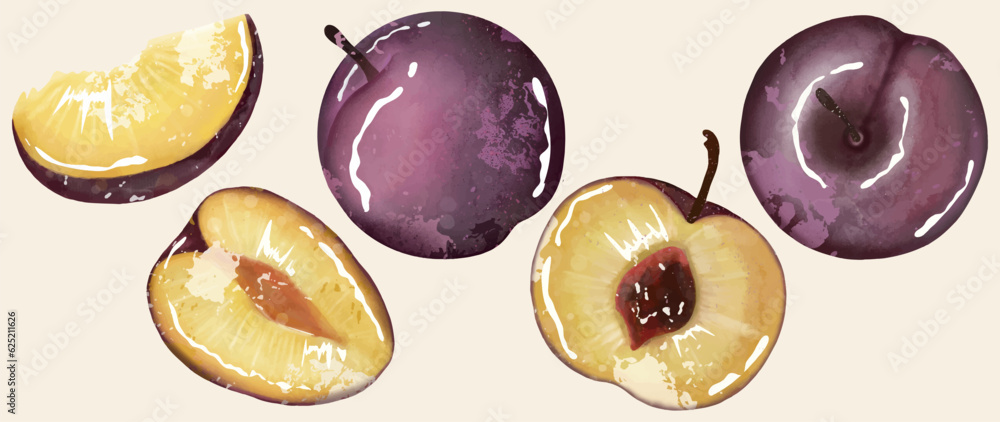 Ripe juicy plum on a white background. Freehand drawing. Whole plum ...