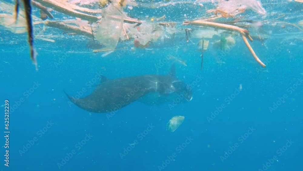 Concept environment theme of disposable plastic waste pollution in ...