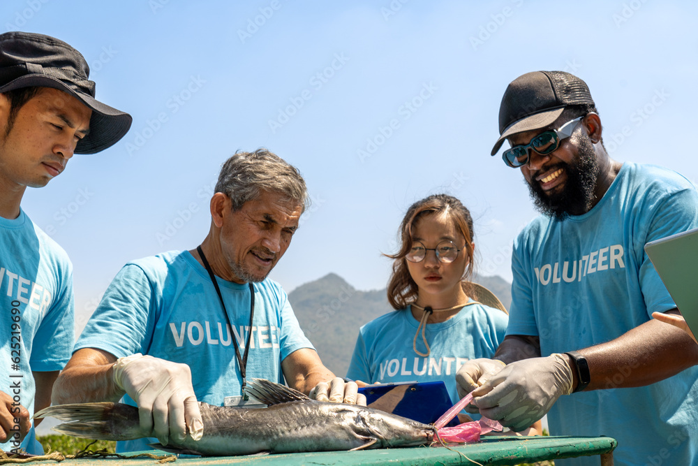 team of volunteers rescues the fish by pulling trash out of its mouth ...
