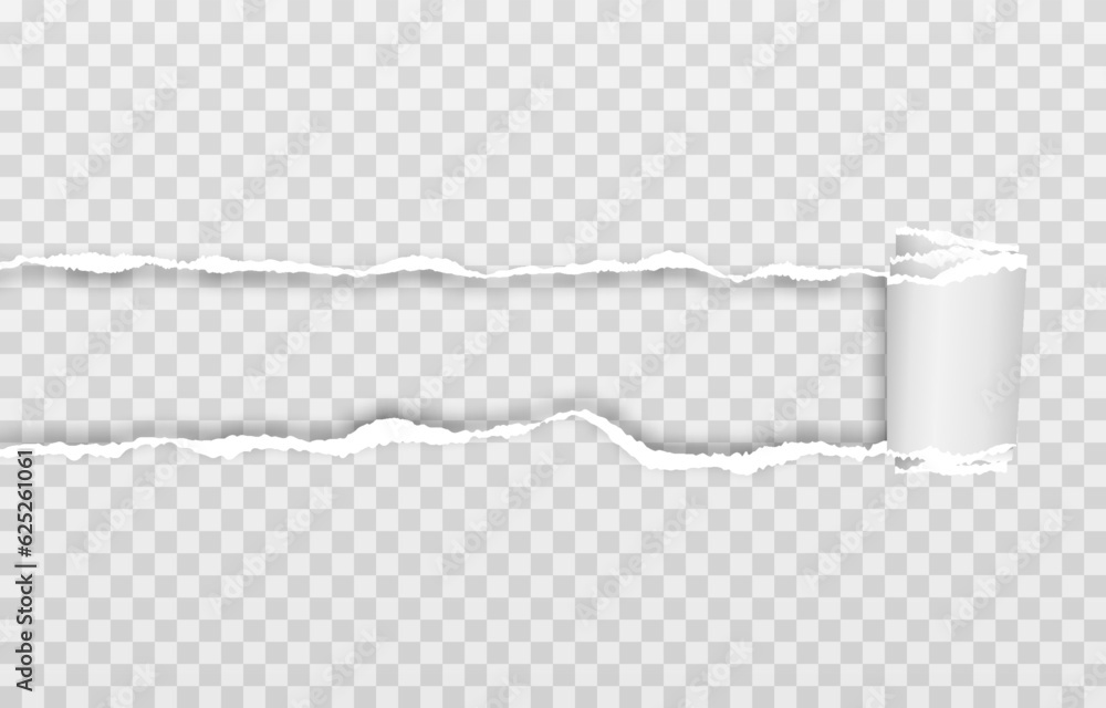 Vector torn paper. Torn notepad sheets png. Torn pages of a book or ...