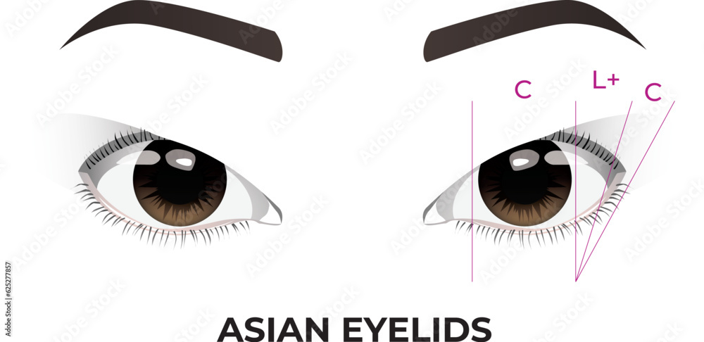 Volume lash extensions for hooded or Asian eye curls type. Eyelash ...