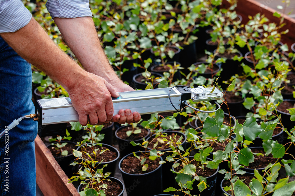 Scientist measuring plant photosynthesis by using portable device in ...