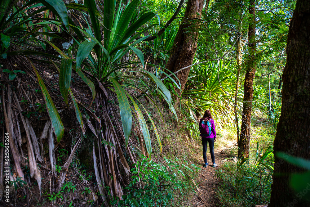 long haired backpacker woman hiking through mountainous section of ...