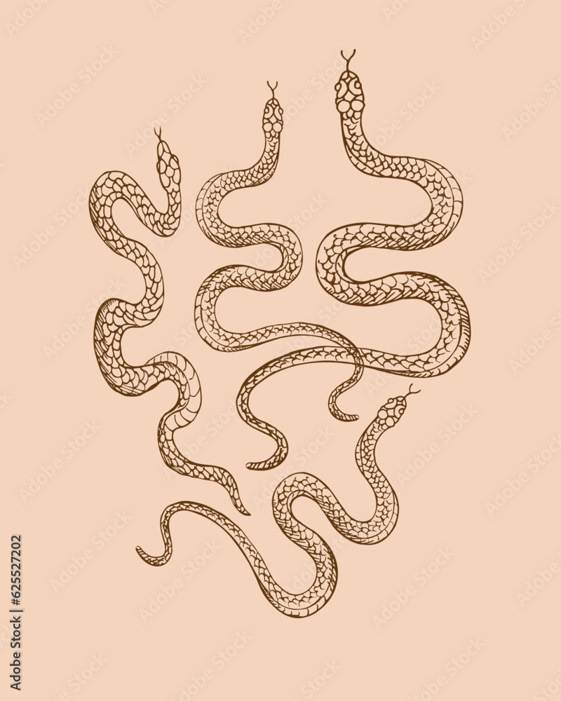 Snakes animal vector illustration hand drawn on isolated background ...