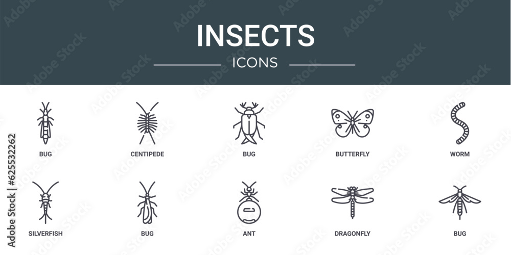 set of 10 outline web insects icons such as bug, centipede, bug ...