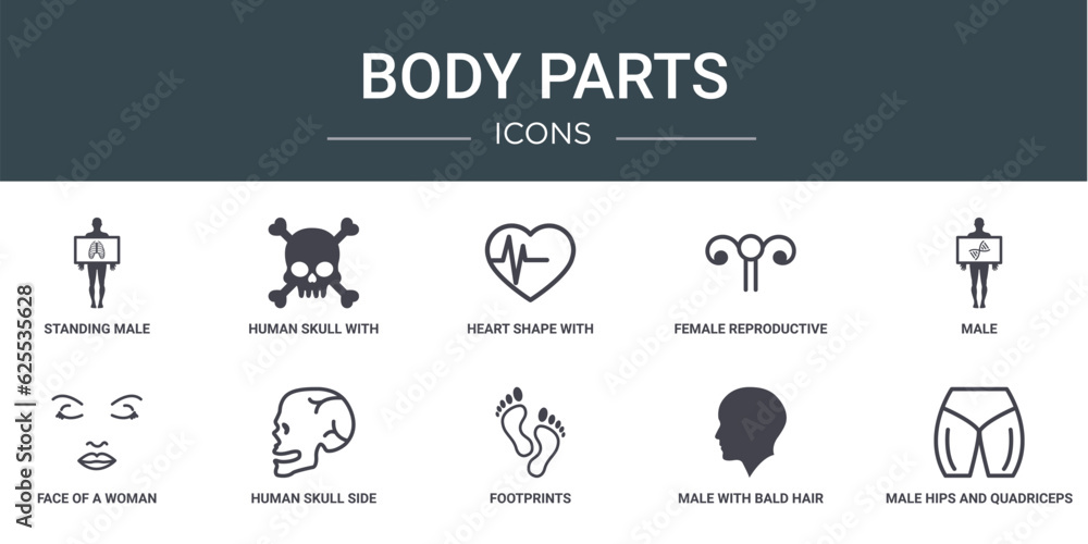 Vecteur Stock set of 10 outline web body parts icons such as standing ...