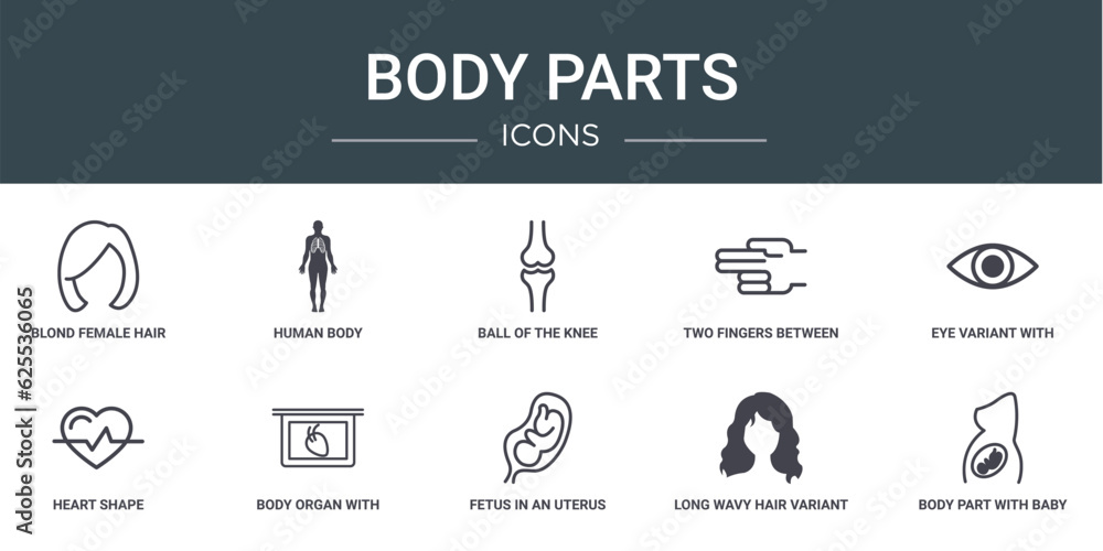 set of 10 outline web body parts icons such as blond female hair shape ...