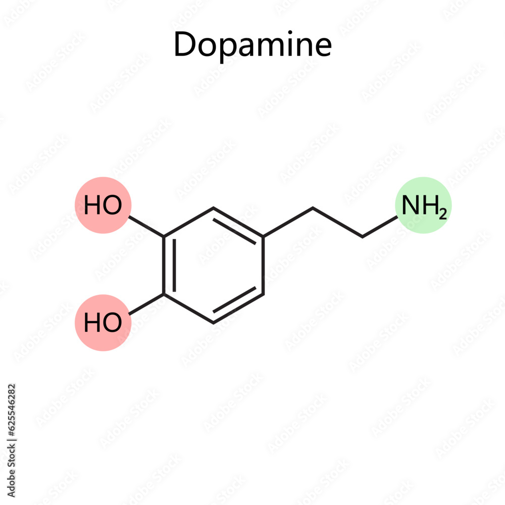 Chemical organic formula of dopamine diagram schematic vector ...