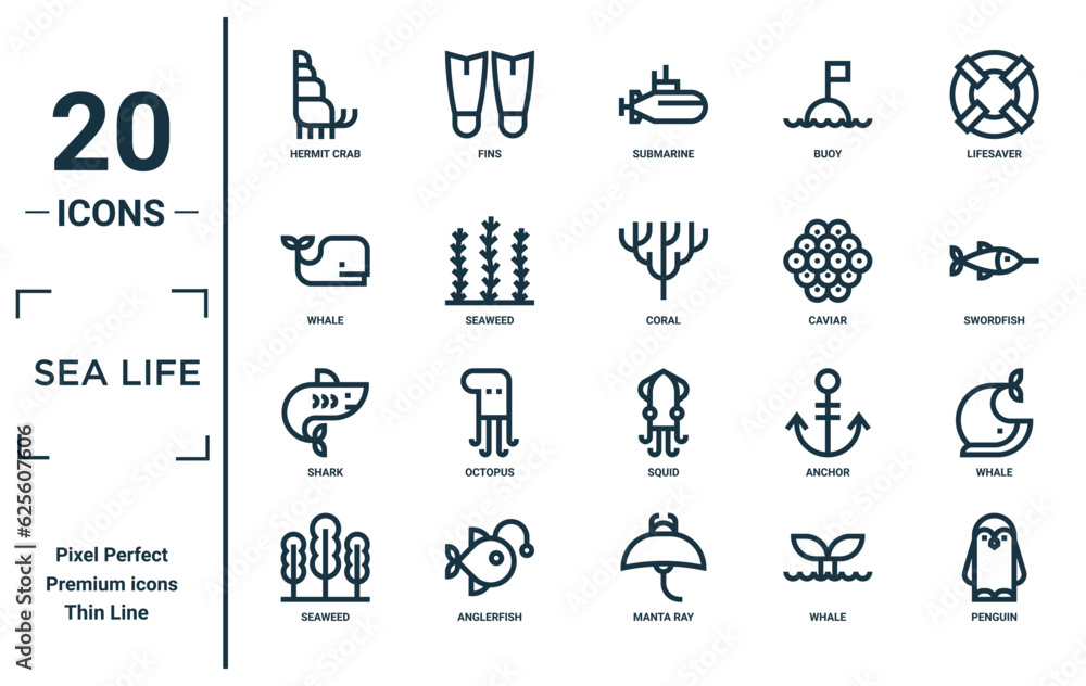 sea life linear icon set. includes thin line hermit crab, whale, shark ...