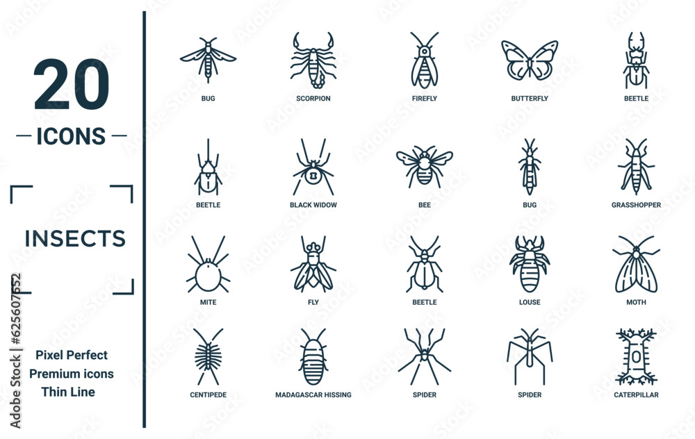 insects linear icon set. includes thin line bug, beetle, mite ...