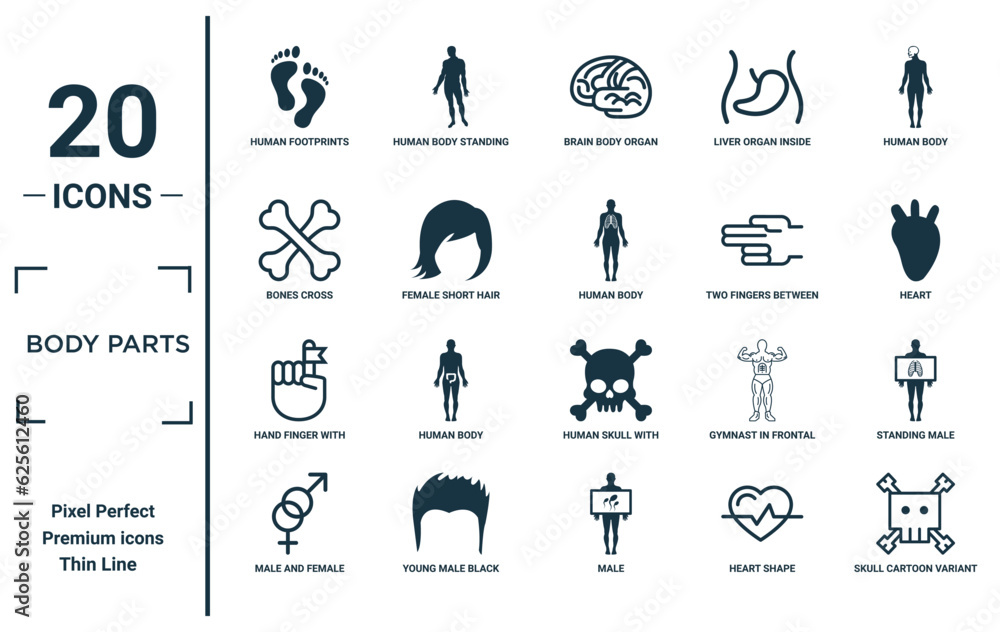 body parts linear icon set. includes thin line human footprints, bones ...