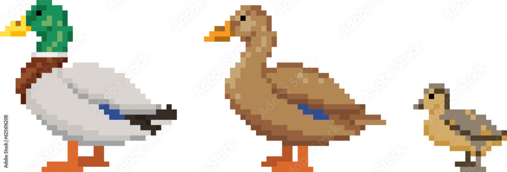 Pixel art set of Wild duck birds. Ducks family. Male Drake, female duck ...