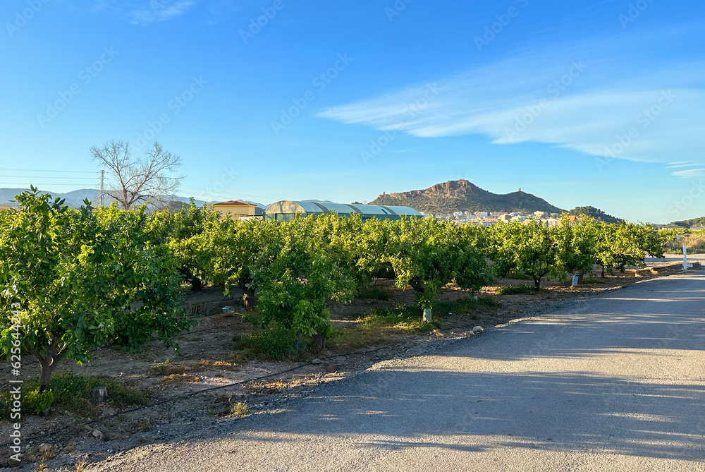 Foto de Farm field against mountains near Almenara town. Houses and ...