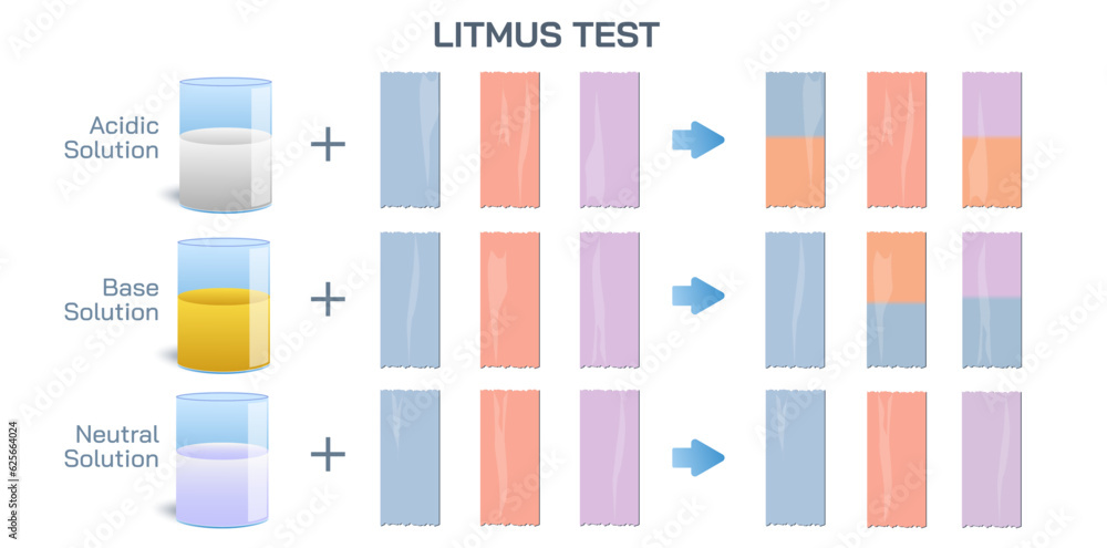 Litmus paper and change in color with reaction with acids vector ...