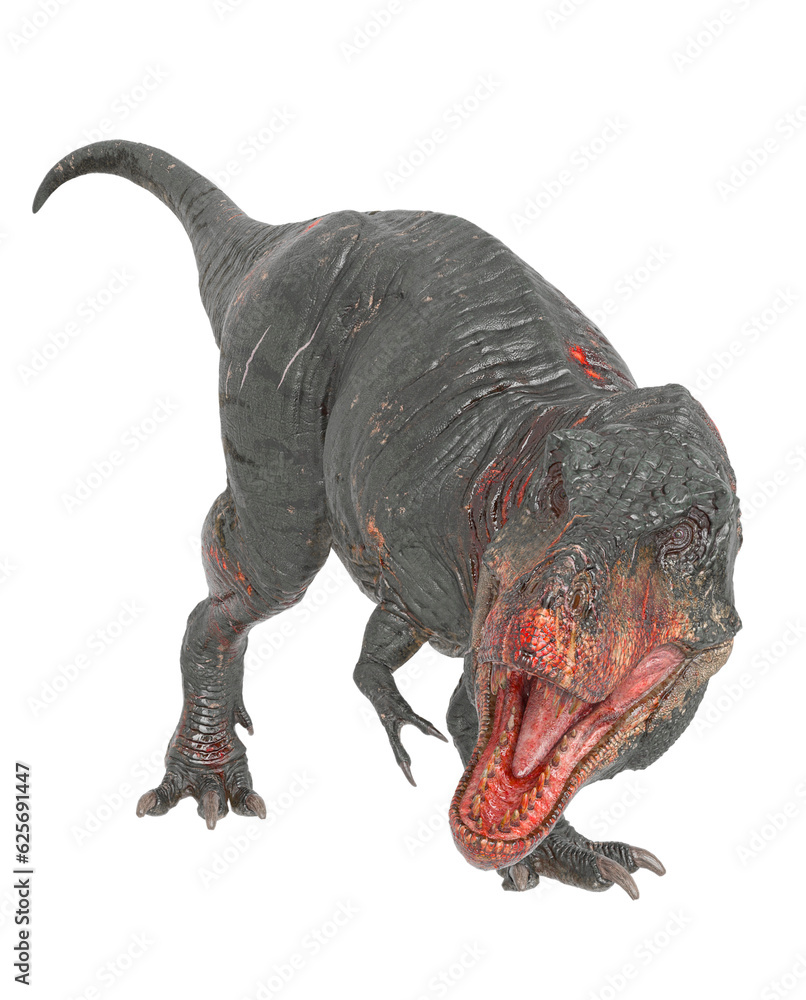 t-rex on blood is looking for food to eat in white background Stock ...