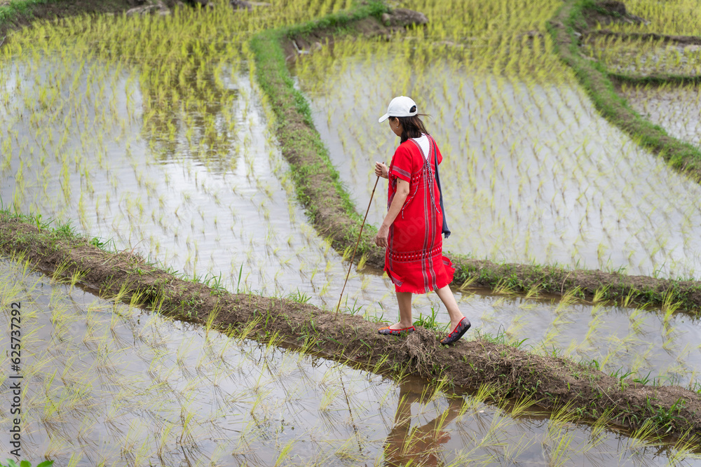 Pretty Asian woman dressed in Karen minority ethnic culture walks in ...