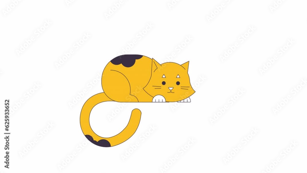 Cute cat watching line 2D character animation. Observant kitten flat ...