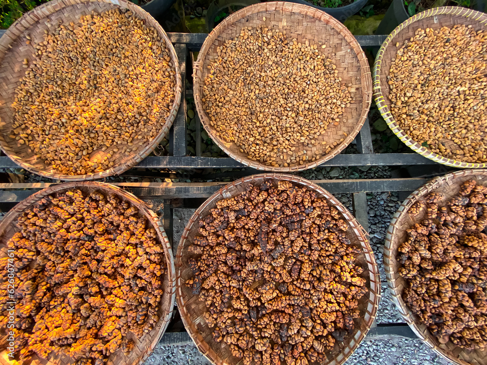 Foto de Large piles of unwashed coffee beans collected in woven bamboo ...