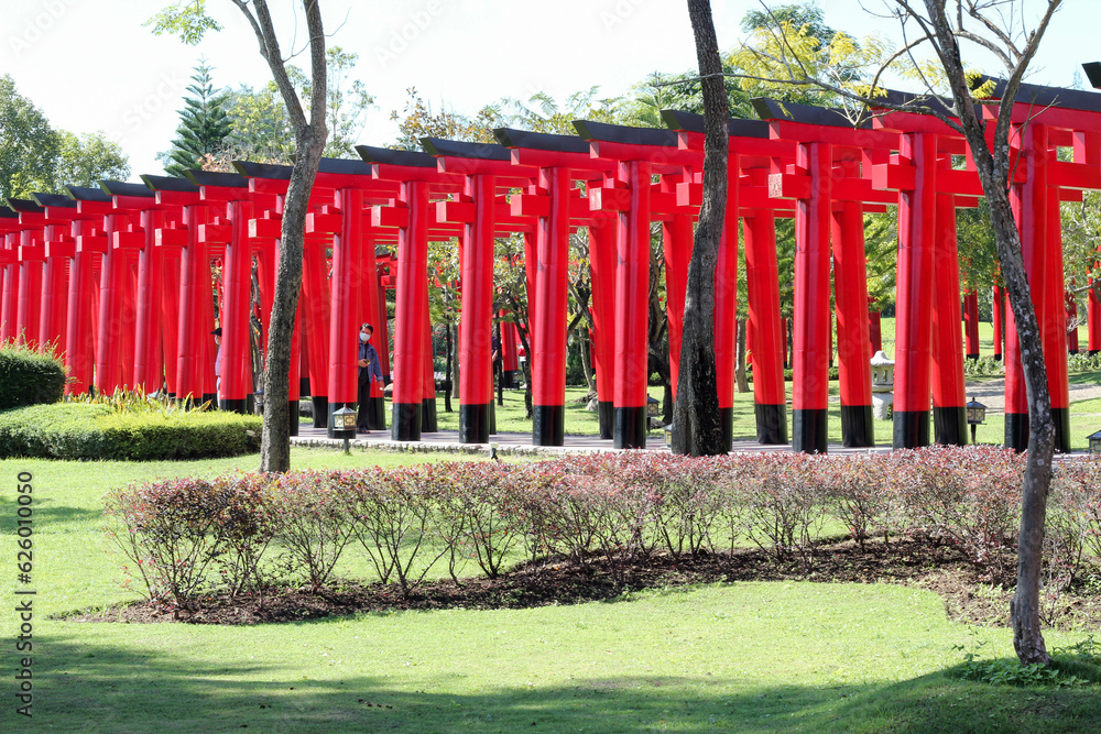 The red torii gates line the path at Hinoki Land, Chiang Mai,Northern ...