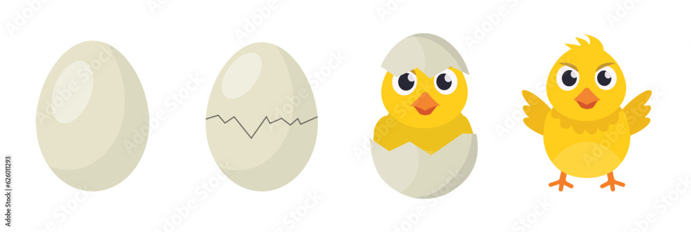 chicken hatching stages. baby chick born from egg. yellow cartoon ...
