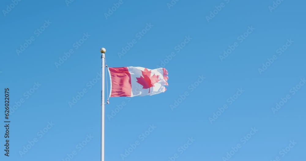 Canadian flag waving aerial footage Flag of Canada flying in the sky ...