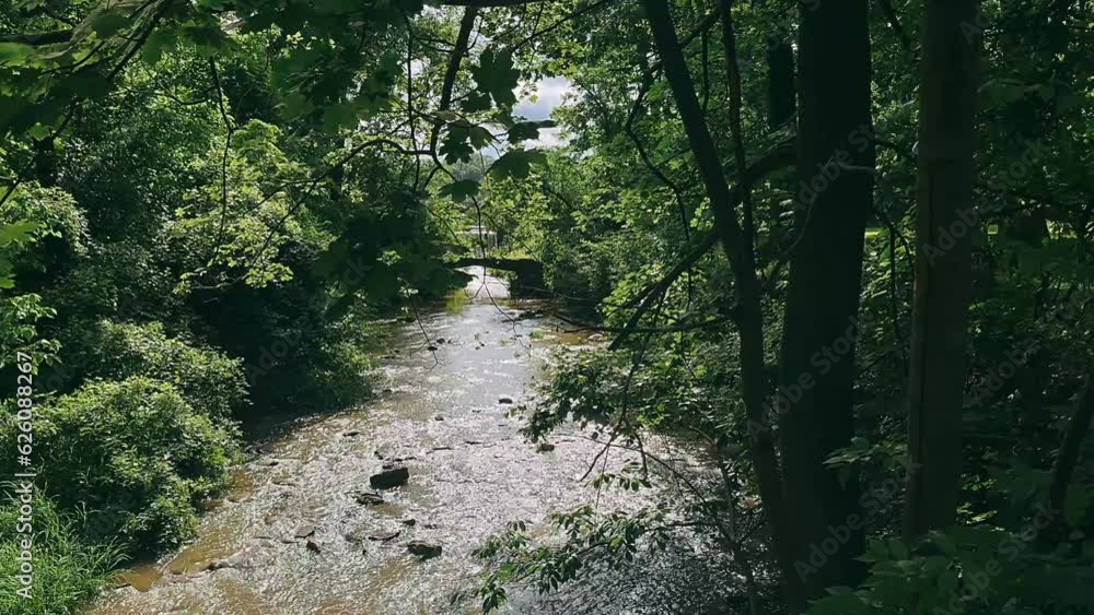 Stockvideon path in the woods, stream, river, forest, nature, path ...