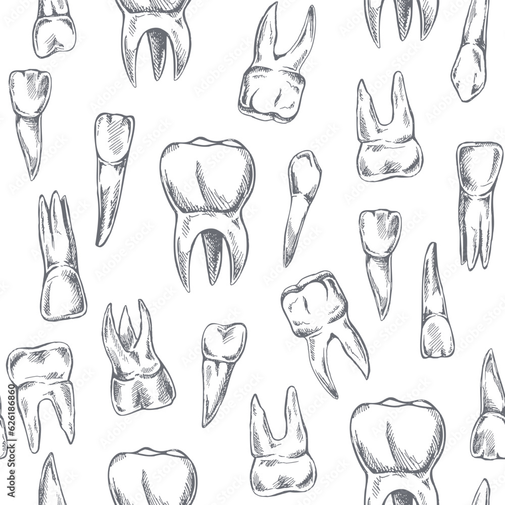 Hand-drawn vector seamless pattern of teeth. Teeth sketch. Different ...