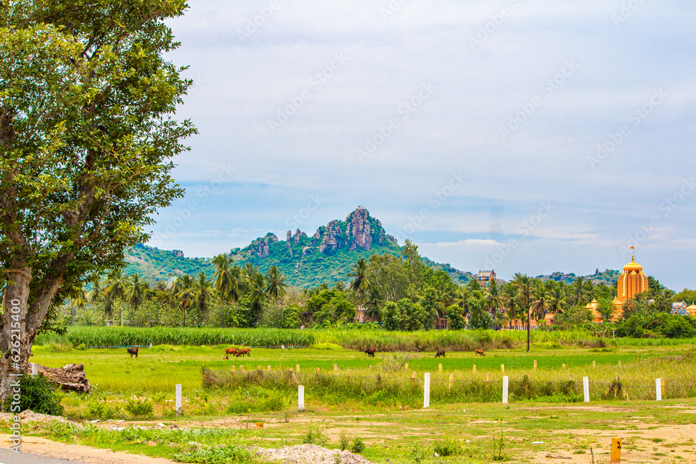 A stunning, beautiful landscape picture with tallest mountain, Hindu ...