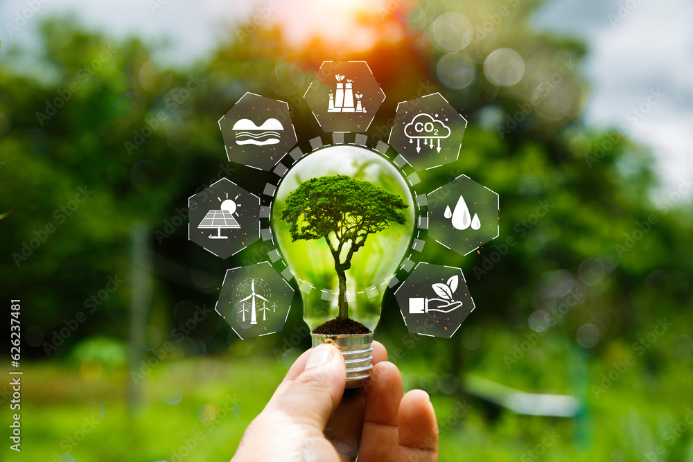green tree in bulb on green background, eco green energy system ...