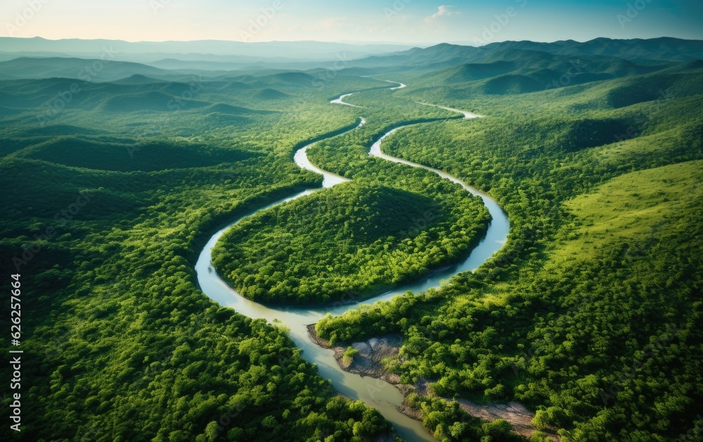 Beautiful aerial view of a river with multiple paths and meanders ...