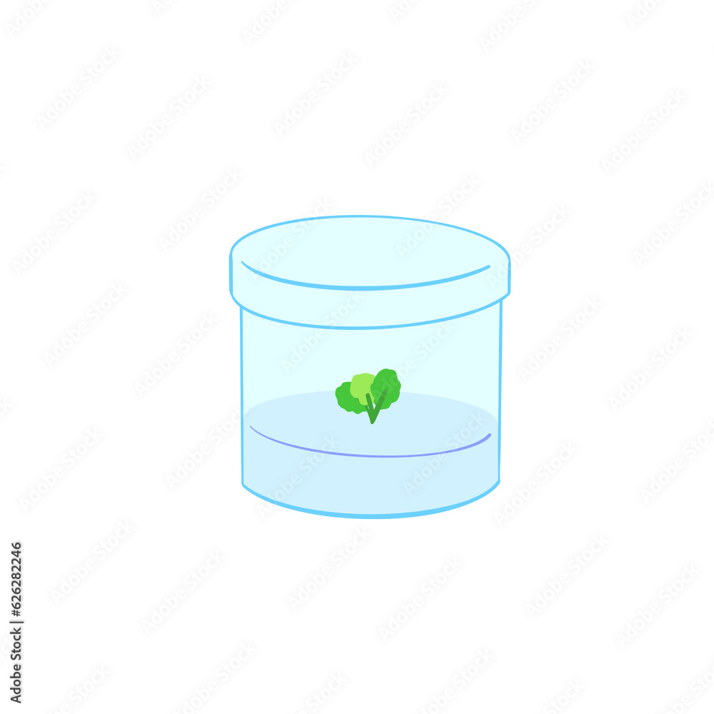 Tissue Culture Stock Illustration | Adobe Stock