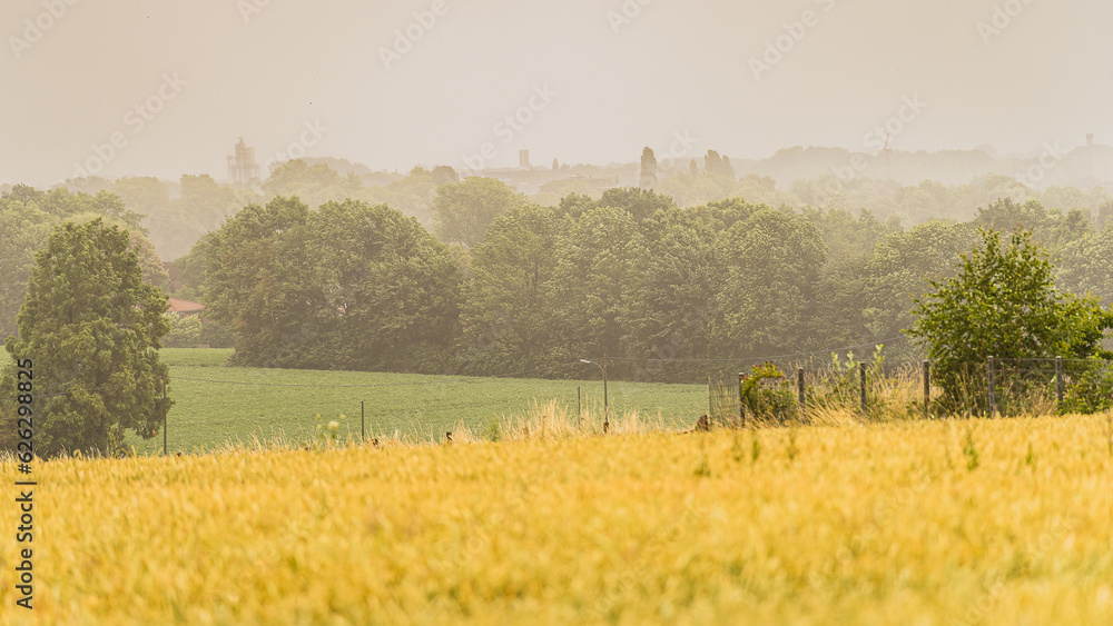 Ein Blick über die Felder im Regen. Stock Photo | Adobe Stock