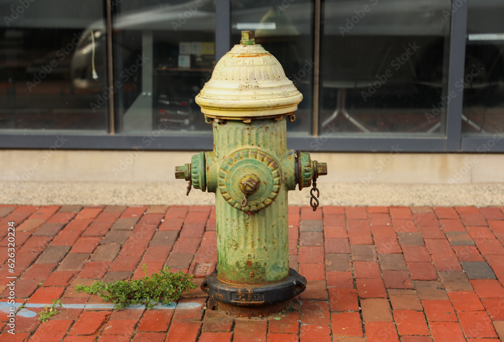 fire hydrant symbolizes preparedness, safety, and hope amidst adversity ...