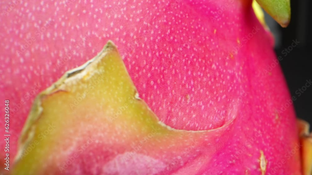 Macro video with a probe lens, the dragon fruit skin reveals an ...