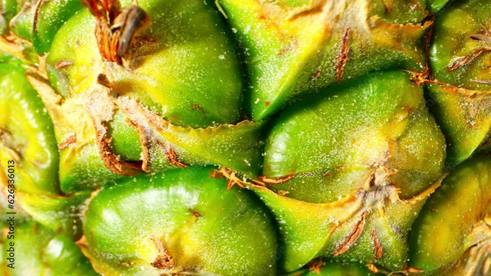 Macro video captures the mesmerizing texture of pineapple skin through ...
