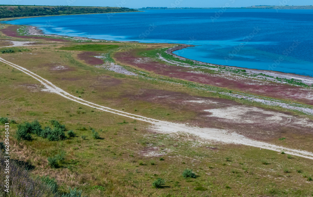 Flowering Ukrainian steppe, wild steppe vegetation on the banks of the ...