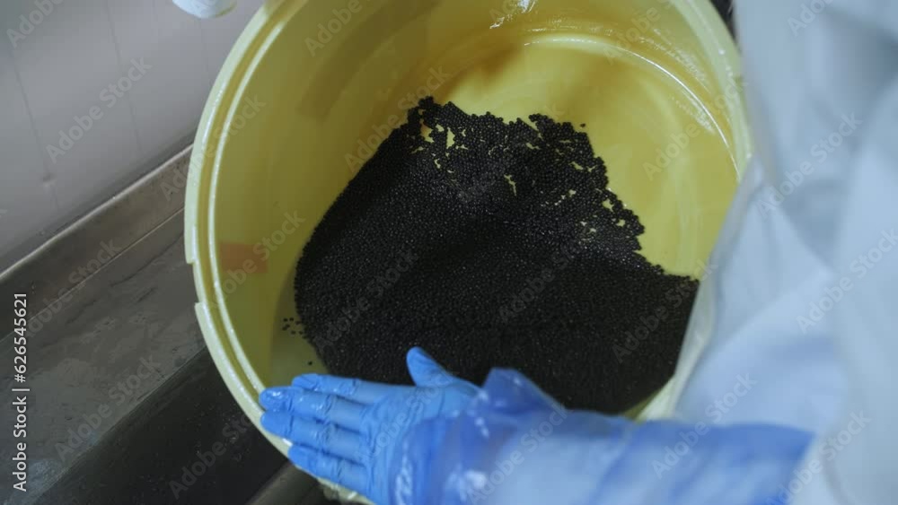 Washing black caviar at a fish factory Stock-Video | Adobe Stock