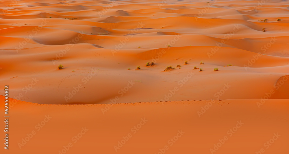 Beautiful sand dunes in the Sahara desert with amazing cloudy sky ...