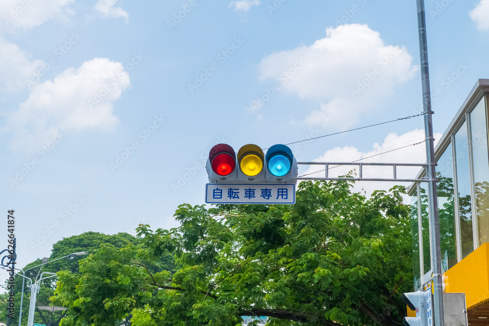 Japanese traffic lights and sign above scramble crossing in front of ...