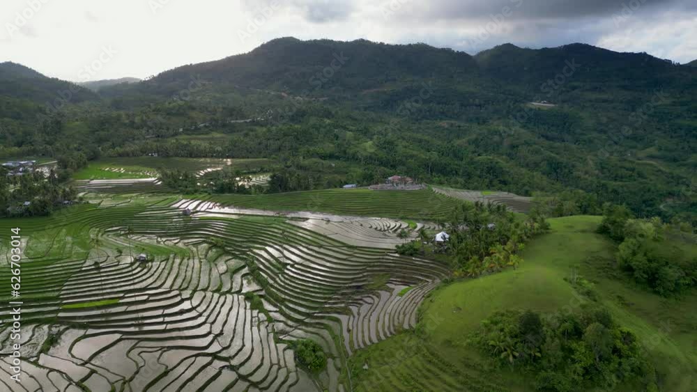 Morning landscape, rice field, mountains, overcast sky with rain clouds ...