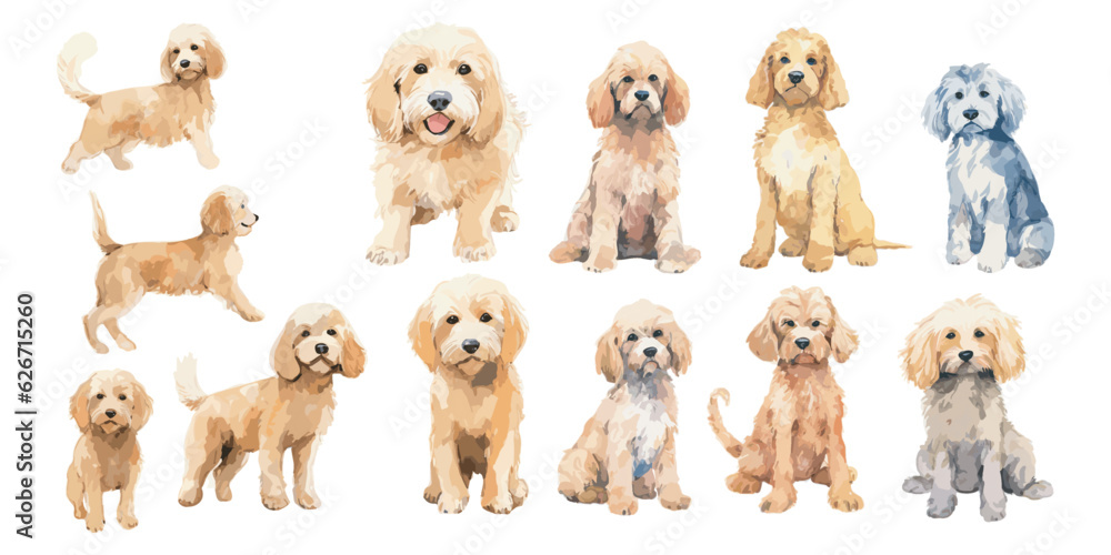 Watercolor Cockapoo dog clipart for graphic resources Stock Vector ...