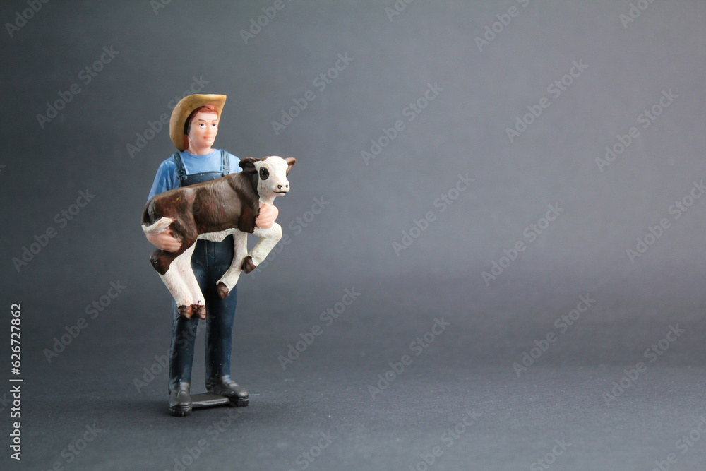 a small labor cattle farmer carrying a calf. cattle breeder concept ...