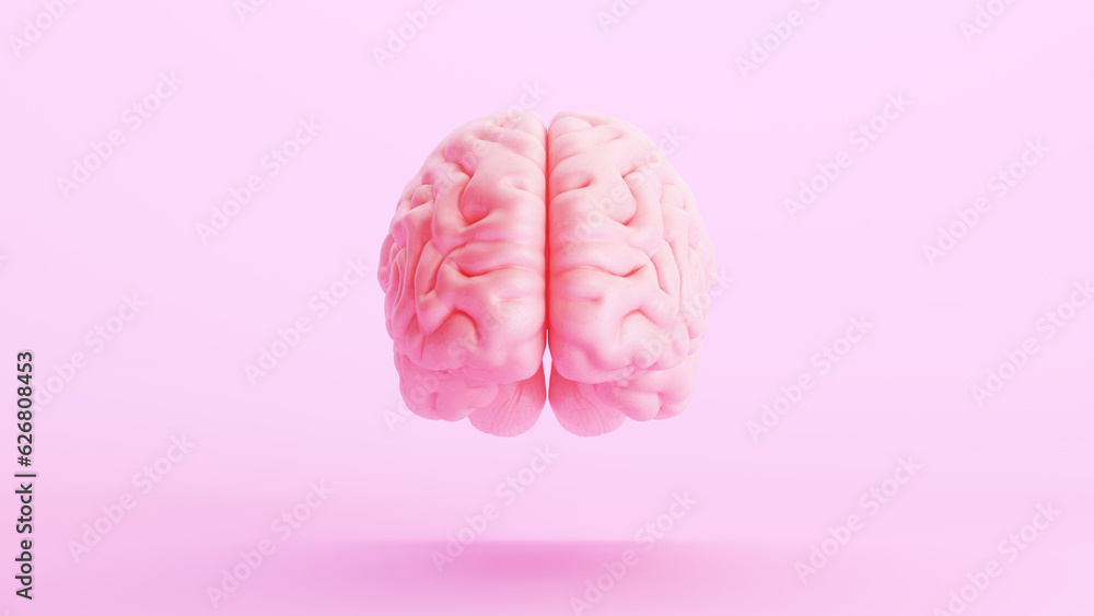 Pink brain anatomy mind intelligence medical organ science pink ...