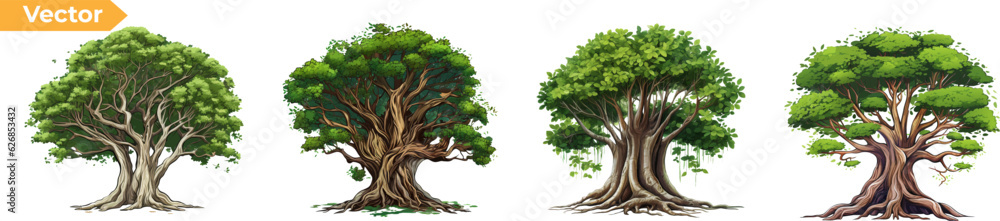 Set of tree vector illustration. Roots of banyan tree vector set ...