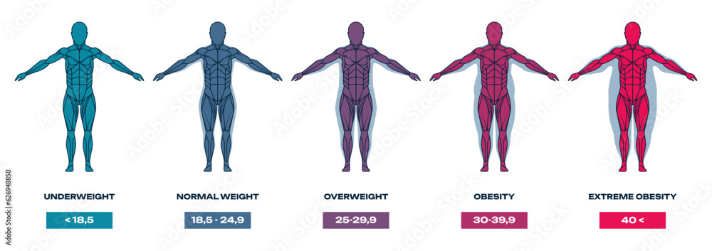 Body mass index. Human silhouette with different shapes and sizes ...