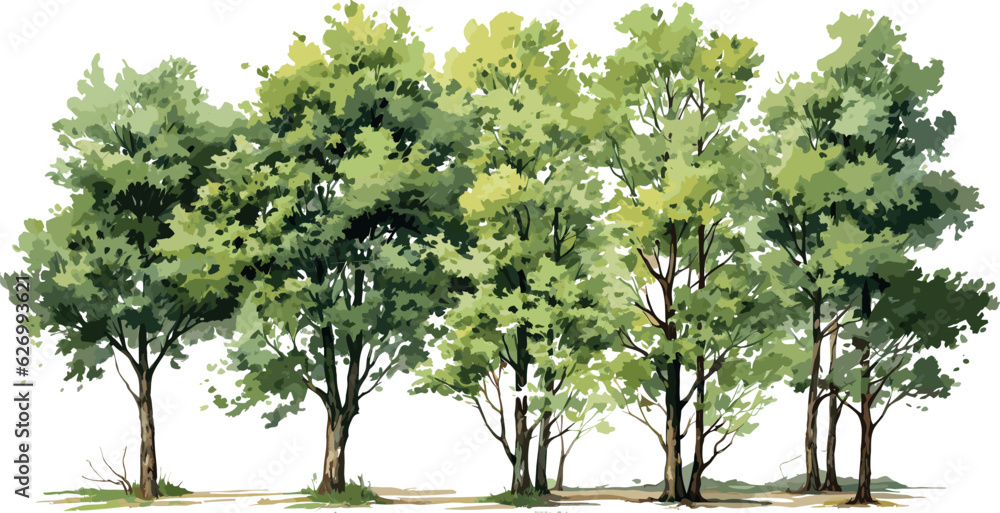 Vetor de Tree watercolor style vector illustration set, graphics trees ...