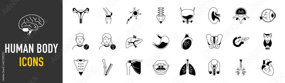 Organs icons. Human body vector illustration include icon - muscle ...